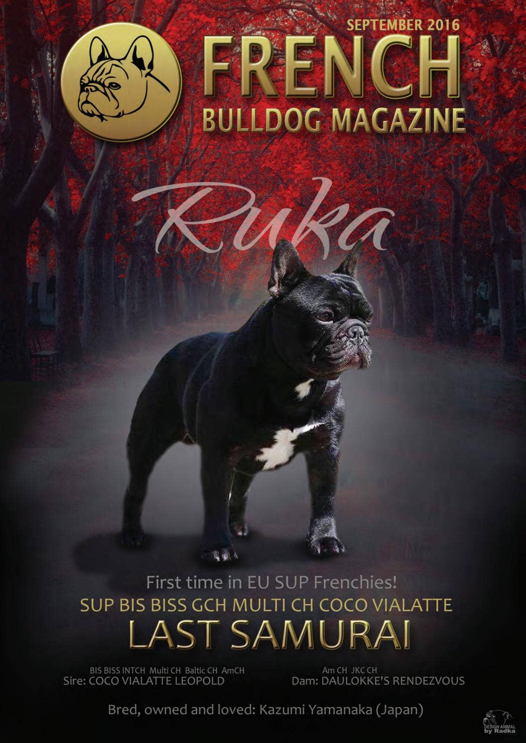 French Bulldog Magazine - September 2016 by Theo Koekemoer - Issuu