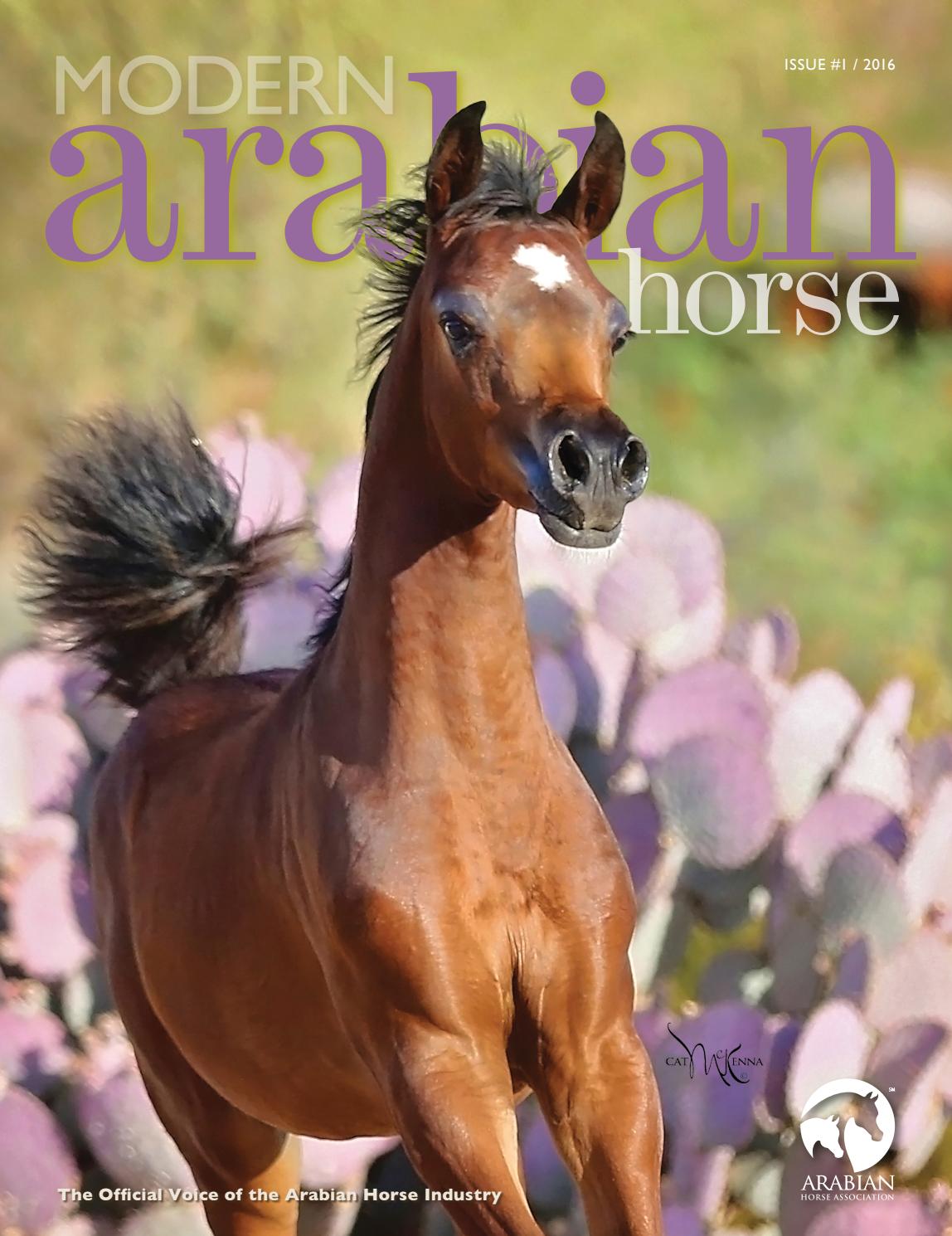 Modern Arabian Horse Magazine: Issue 1, 2016 by Arabian Horse ...