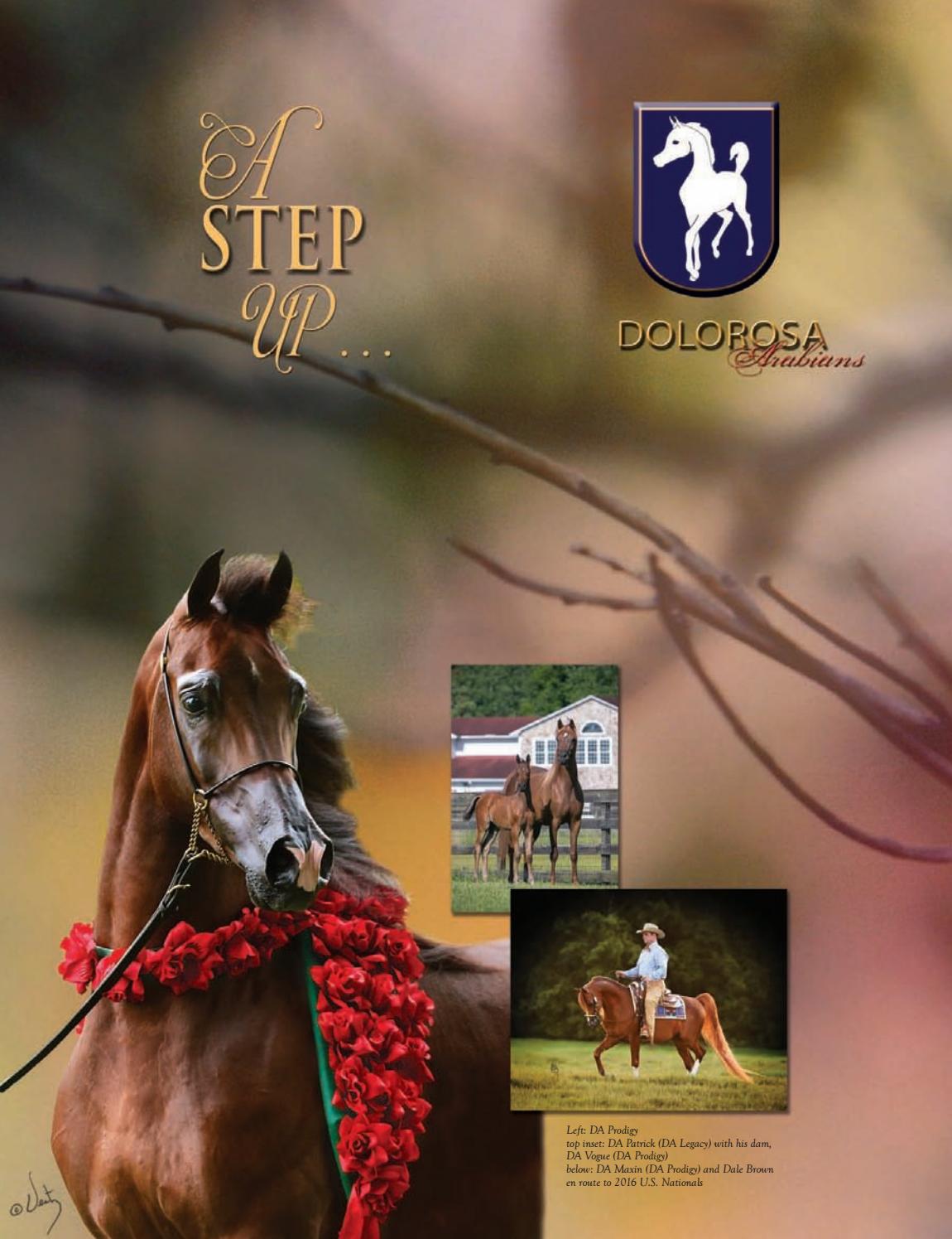 Dolorosa Arabians 2016 by Arabian Horse Times - Issuu