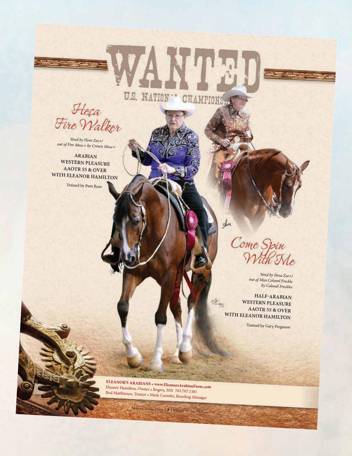 Eleanors Arabians 2016 by Arabian Horse Times - Issuu