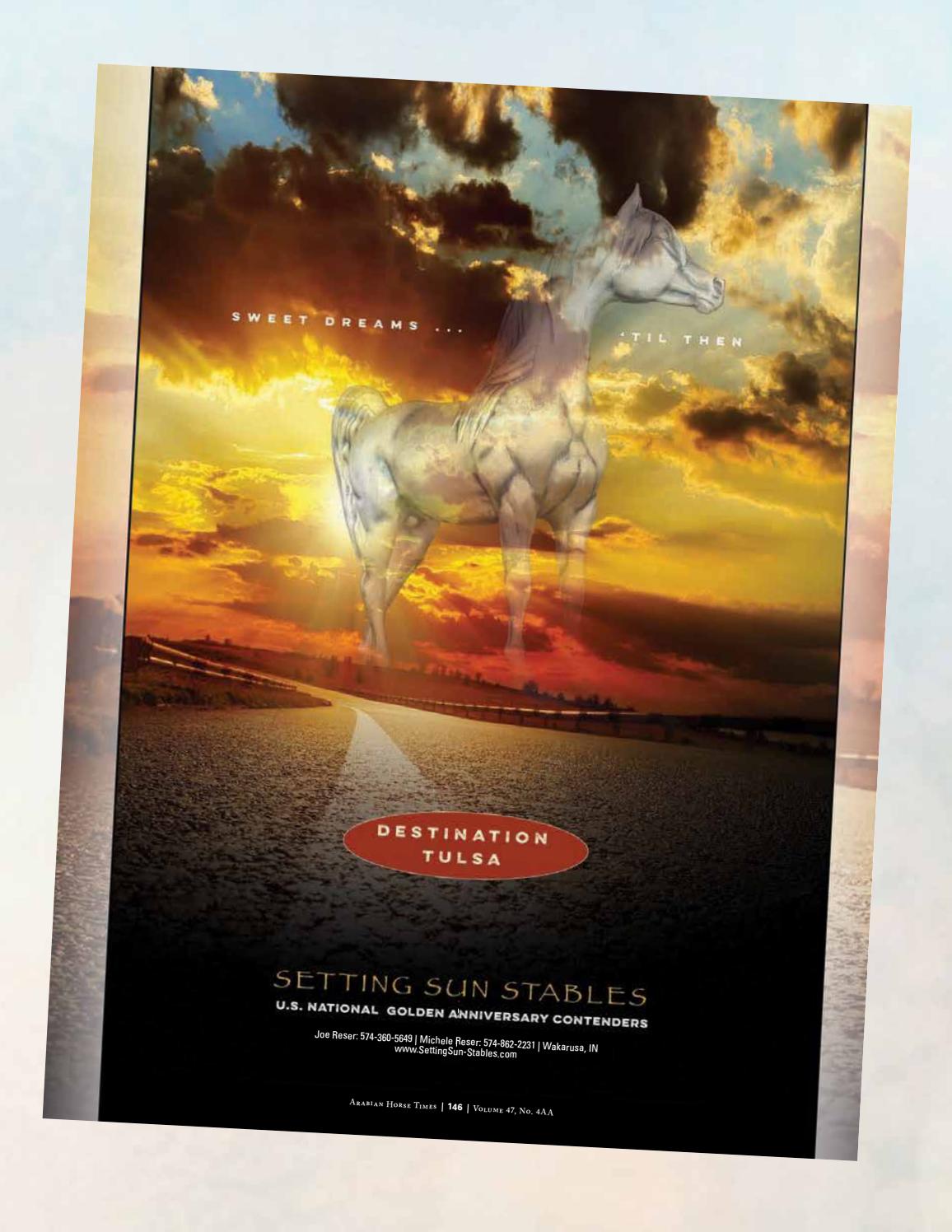 Setting Sun Stables 2016 by Arabian Horse Times - Issuu