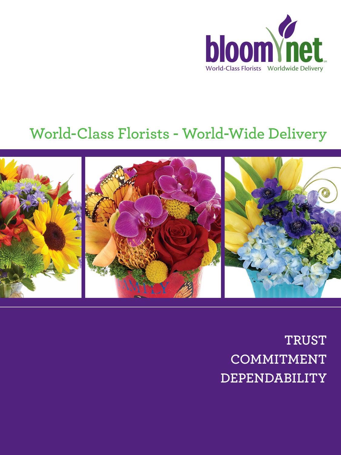 BloomNet Brochure by BloomNet - Issuu