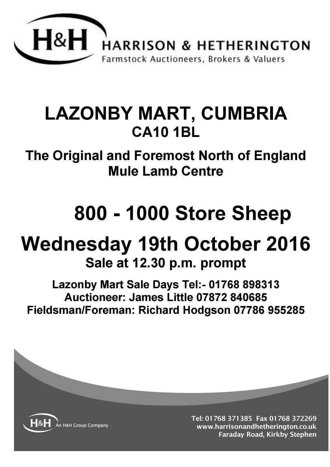 Lazonby Store Sheep Sale 191016 by Harrison & Hetherington - Issuu