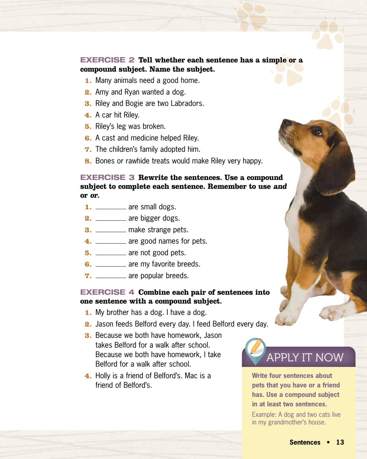 Dog 5 Sentences Dog 5 Sentences