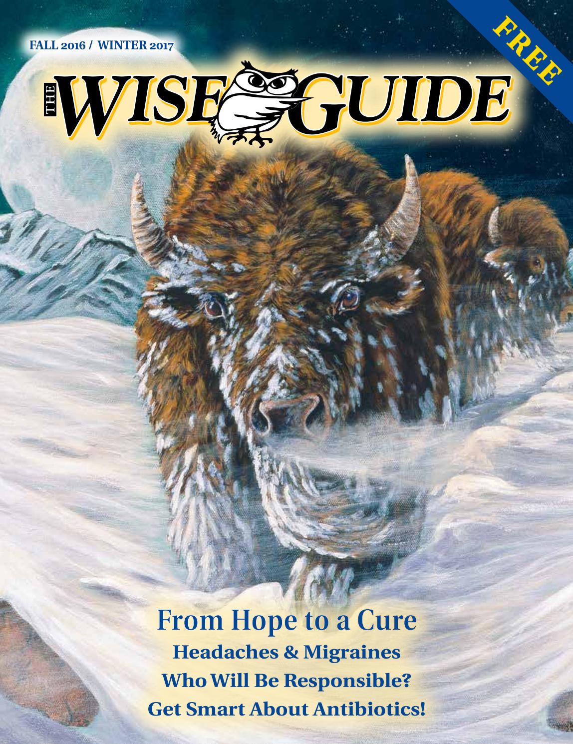 The Wise Guide Fall 2016/Winter 2017 by Jonnie Bradley - Issuu