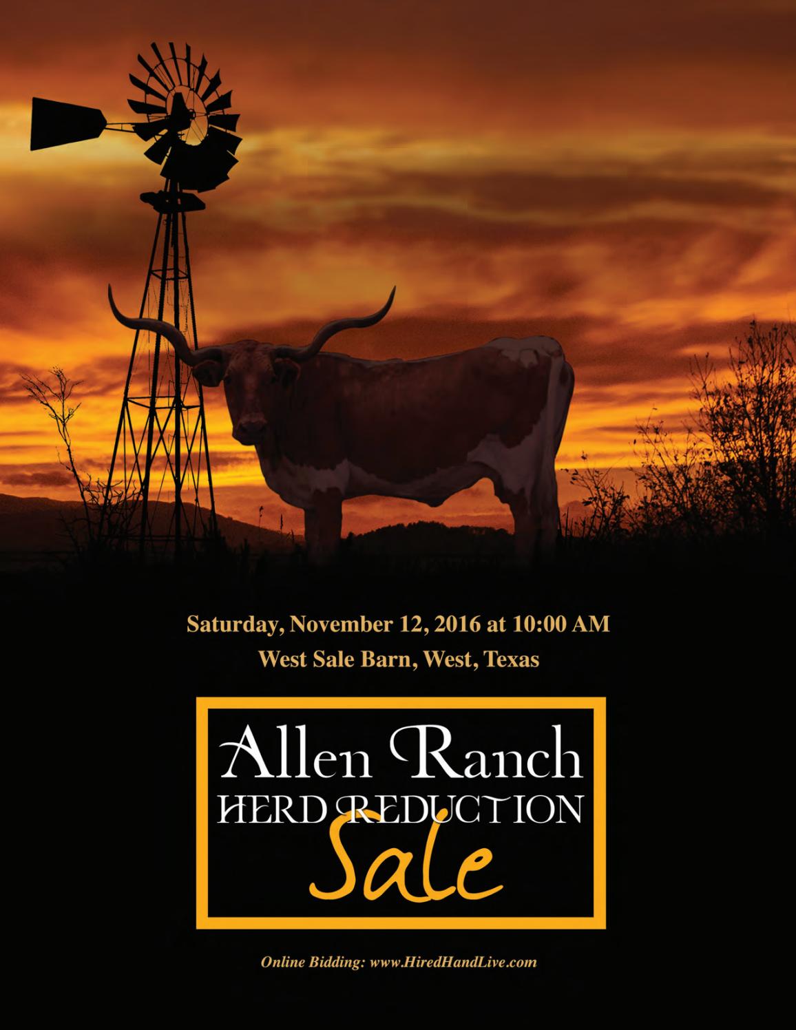 Allen Ranch Herd Reduction Sale by Texas Longhorn Trails Magazine - Issuu