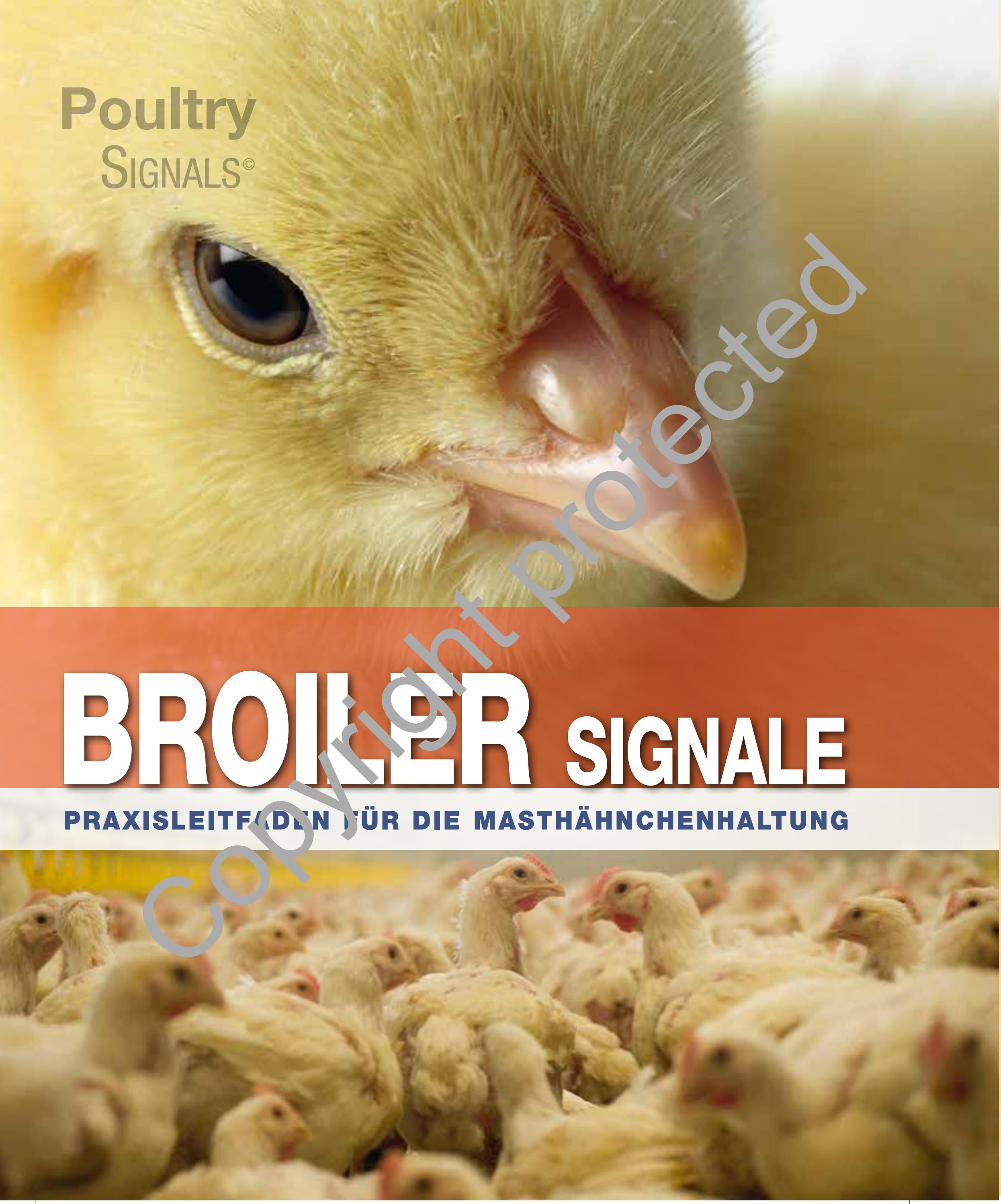 Broiler Signale by Roodbont Publishers - Issuu