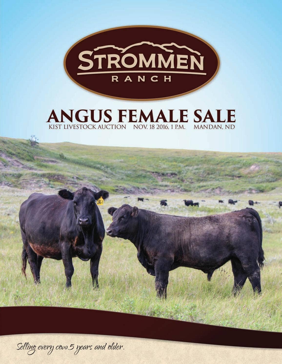 Strommen Ranch 2016 Angus Female Sale by LivestockDirect - Issuu