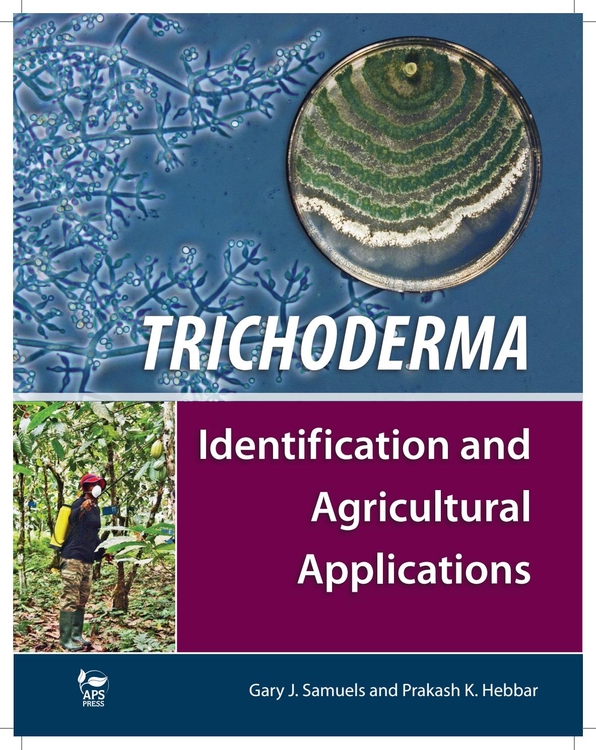 Trichoderma Identification And Agricultural Applications By Scientific