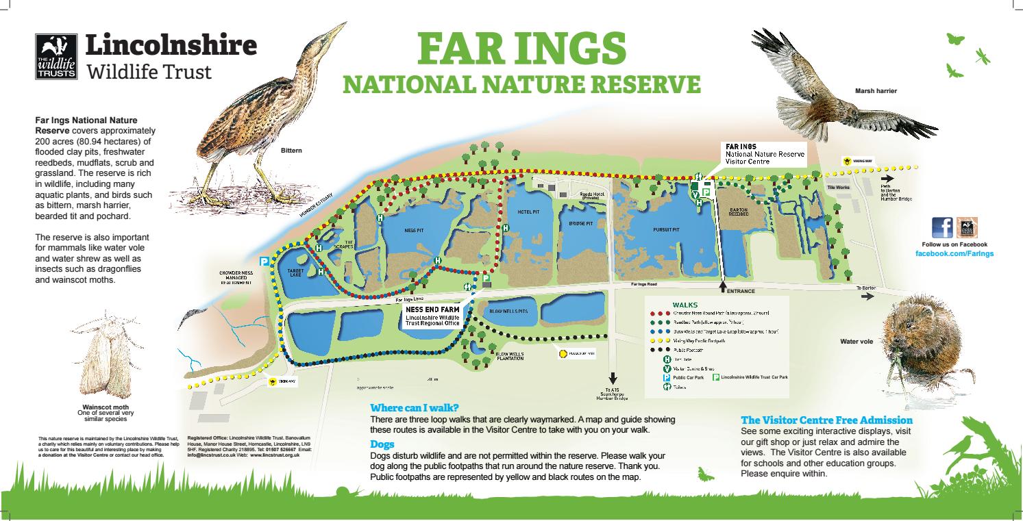 Far ings map by Lincolnshire Wildlife Trust - Issuu
