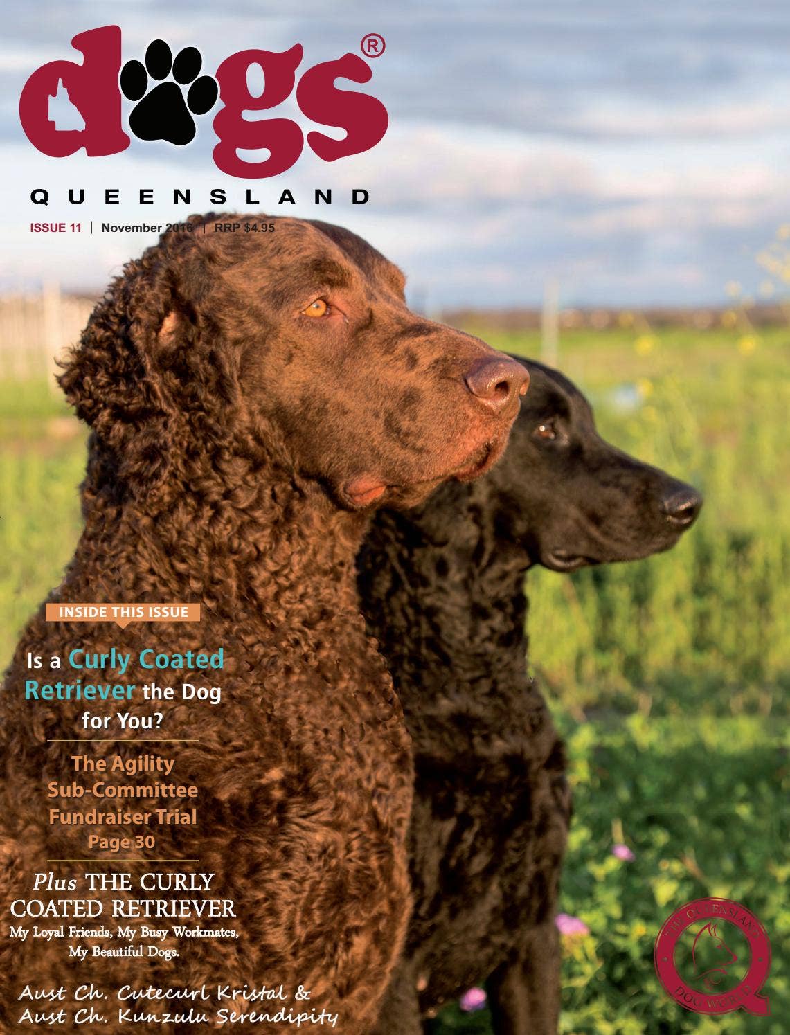 Dogs Queensland - The Queensland Dog World - Issue 11 - November - 2016 ...