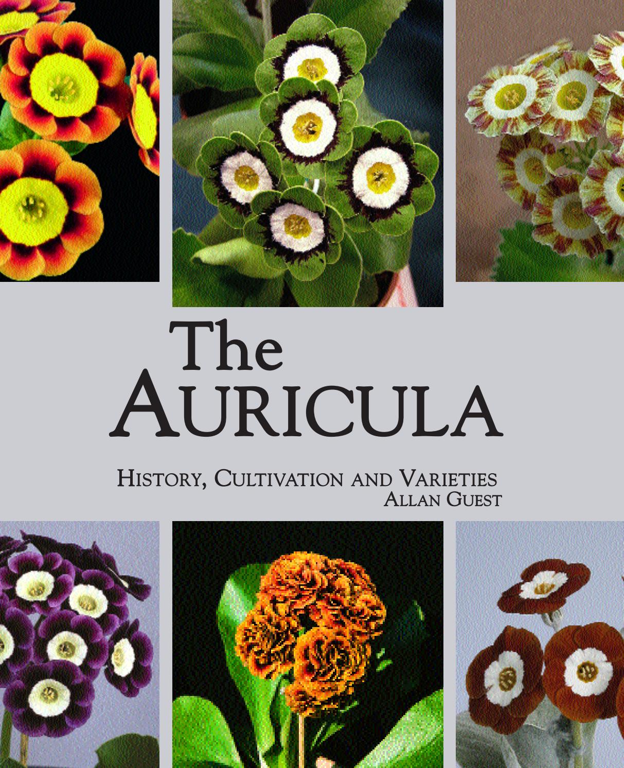 Auriculas by ACC Art Books - Issuu