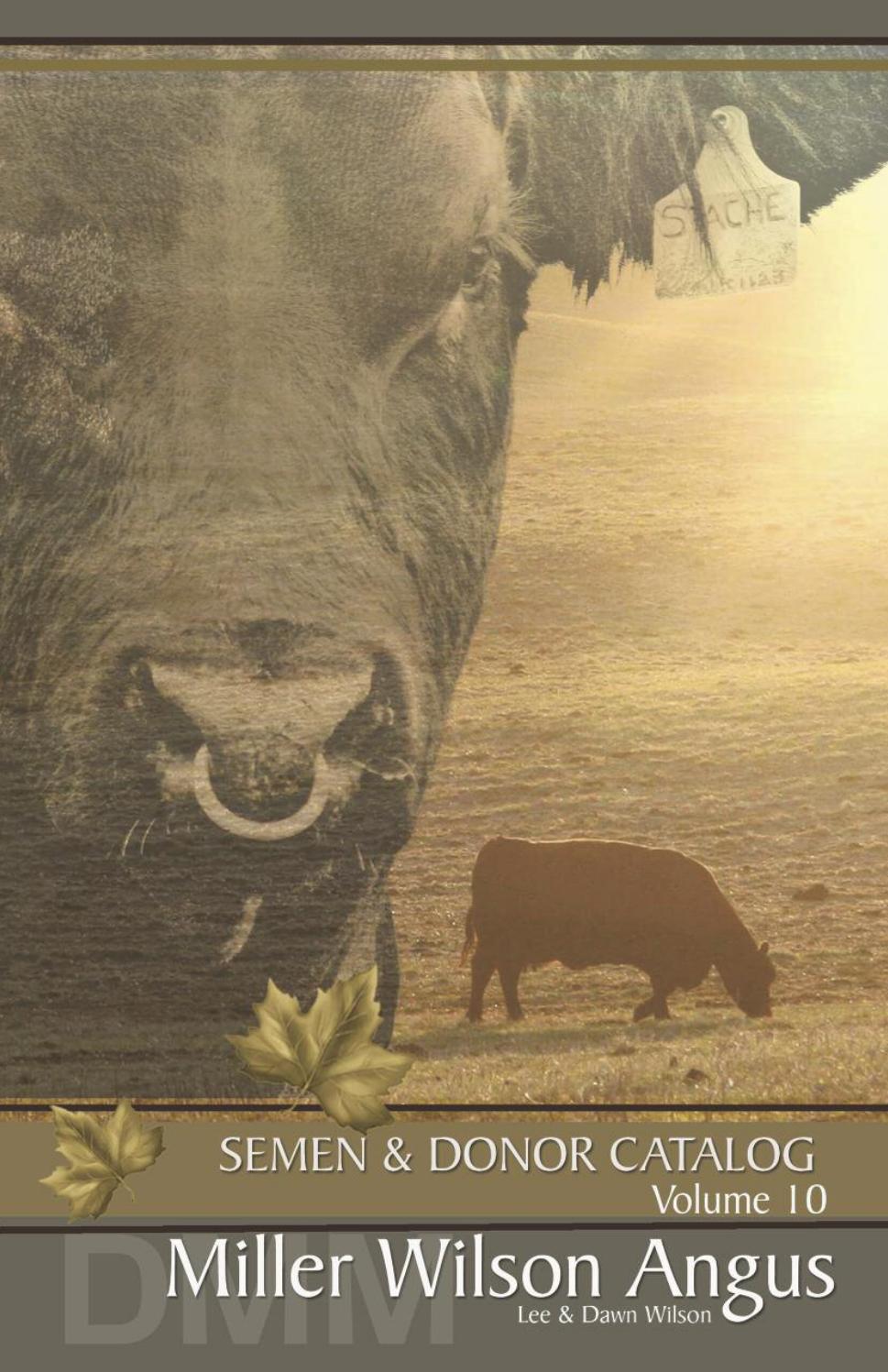 Miller Wilson Angus Smen & Donor Catalog Vol. 10 by Kim Matthews - Issuu