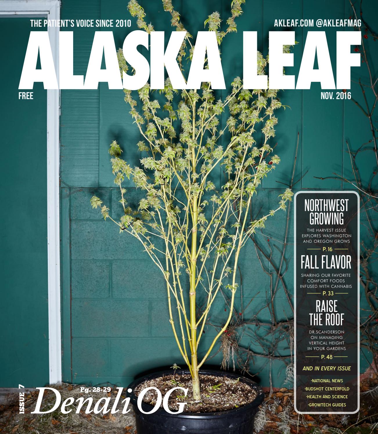 Alaska Leaf — Issue #7 by Northwest Leaf / Oregon Leaf / Alaska Leaf ...