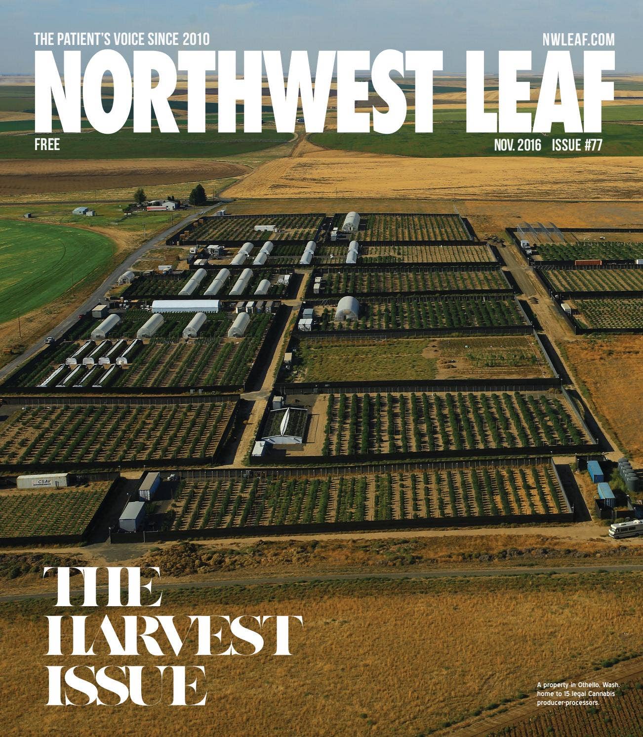 Nov. 2016 — Issue #78 by Northwest Leaf / Oregon Leaf / Alaska Leaf ...