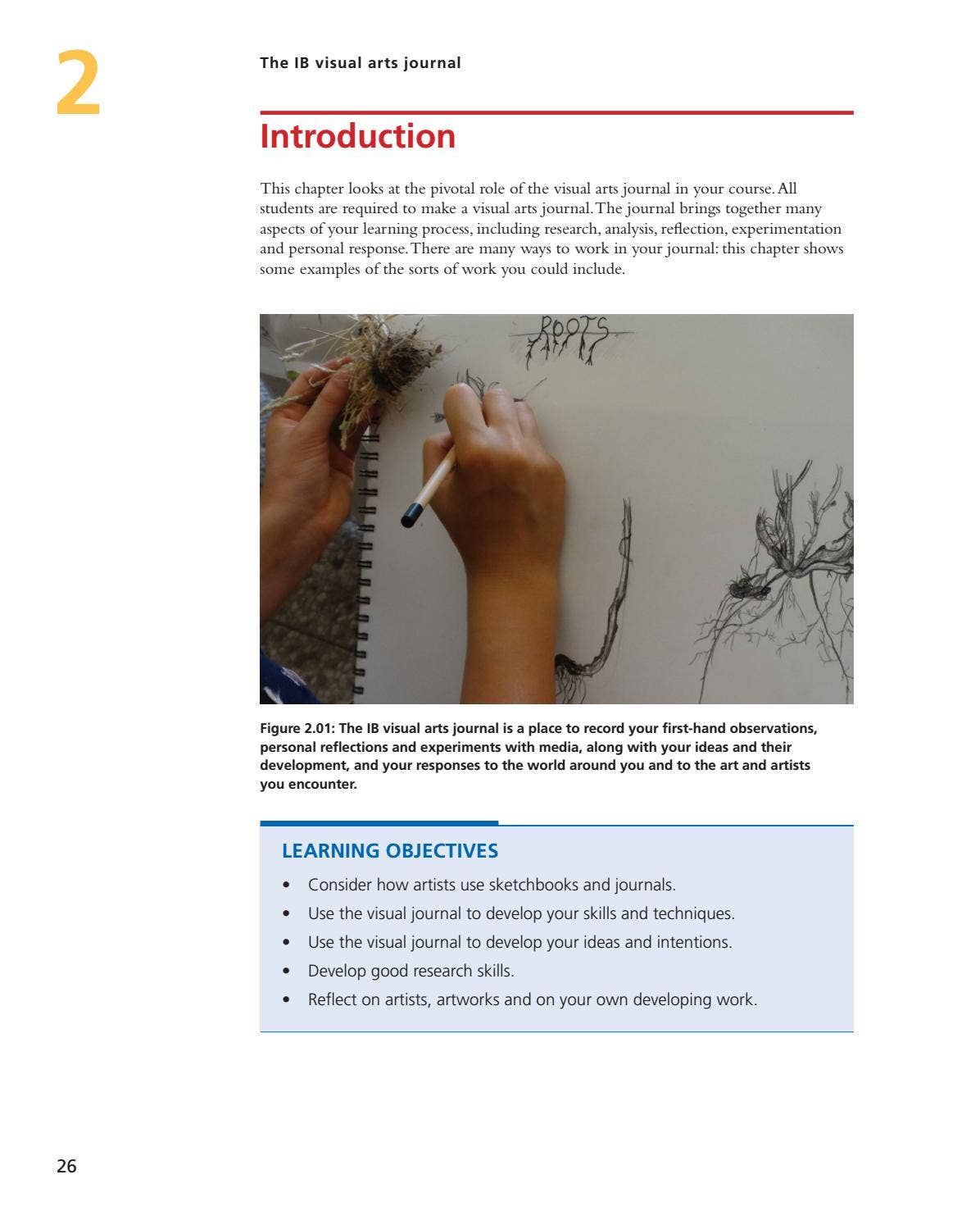 Preview Visual Arts for the IB Diploma by Heather McReynolds by ...