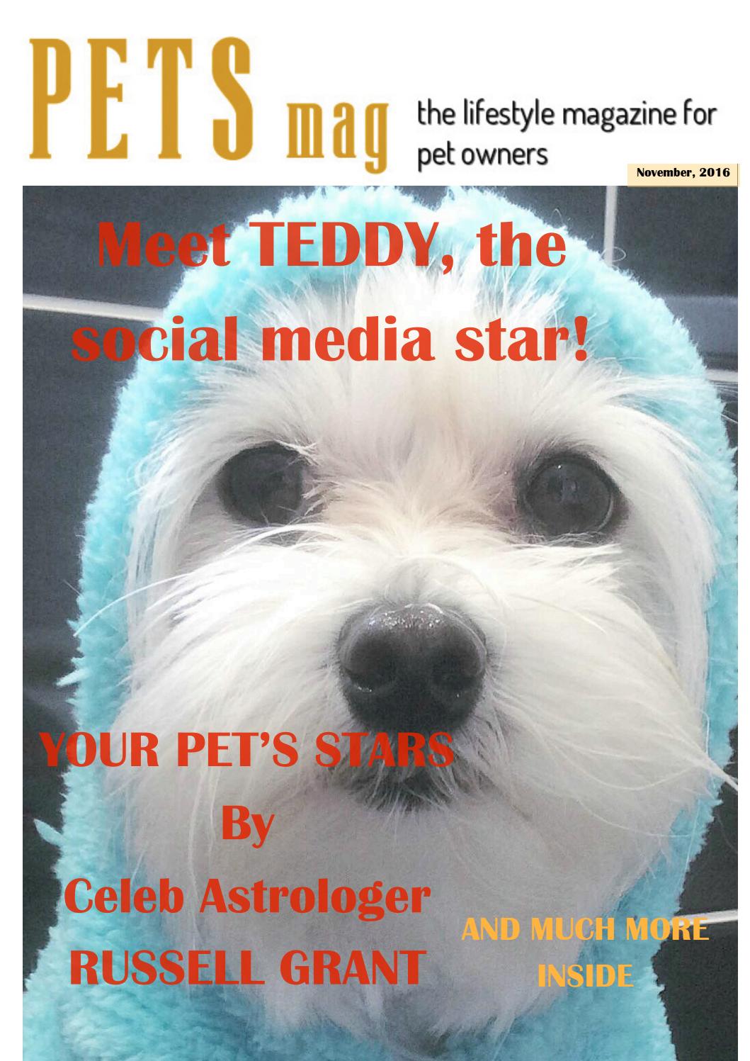 Pets Magazine November 2016 by Pets Magazine - Issuu