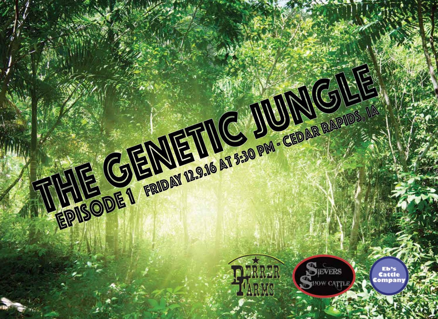 2016 Genetic Jungle Sale by Dwyer Cattle Services - Issuu