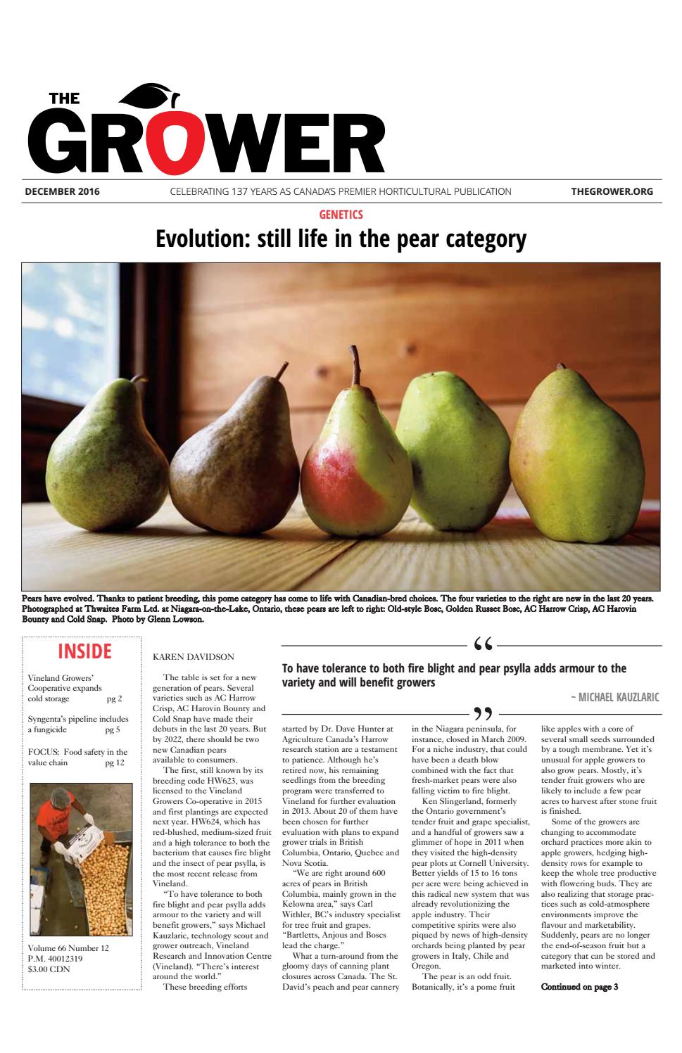The Grower December 2016 by The Grower - Issuu