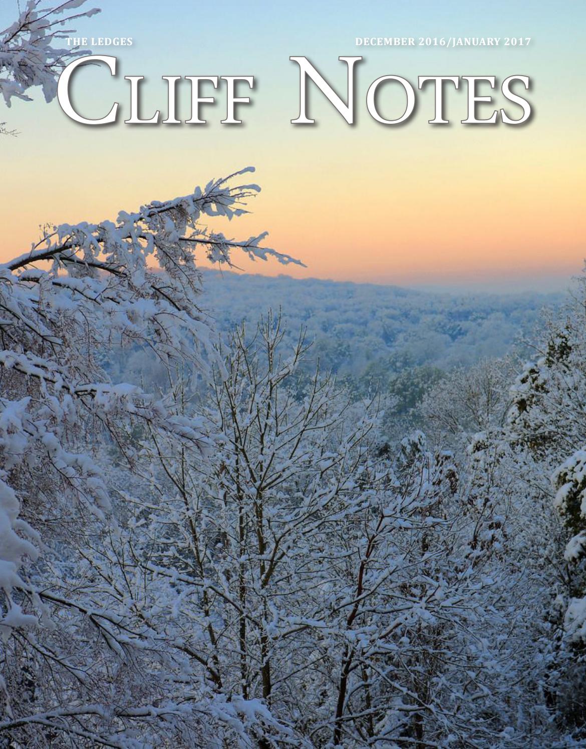 Cliff Notes December January by The Ledges - Issuu