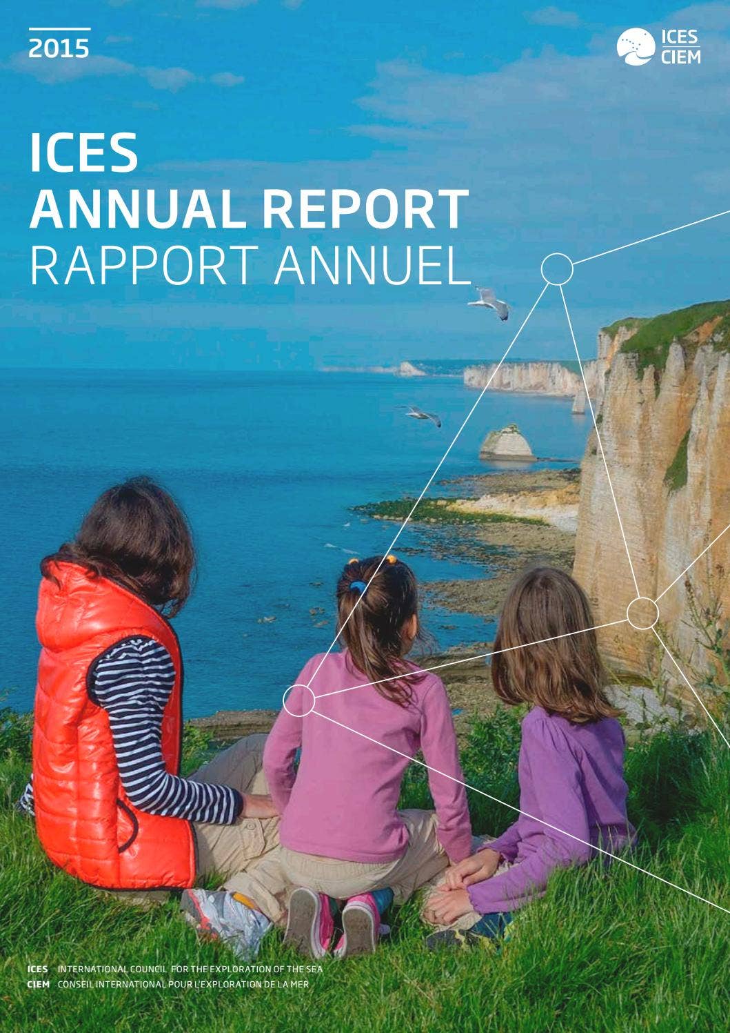 ICES Annual Report 2015 by ICES - Issuu