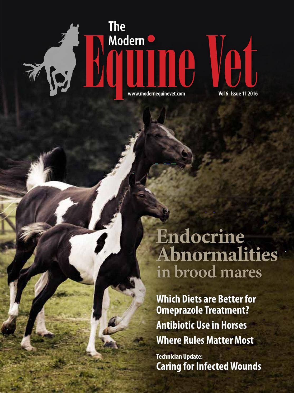 The Modern Equine Vet November 2016 by The Modern Equine Vet - Issuu