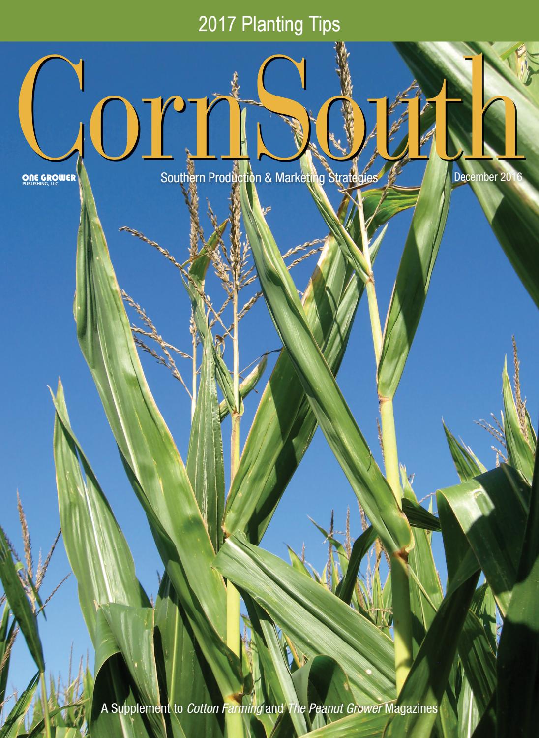 Corn south december 2016 by One Grower Publishing - Issuu