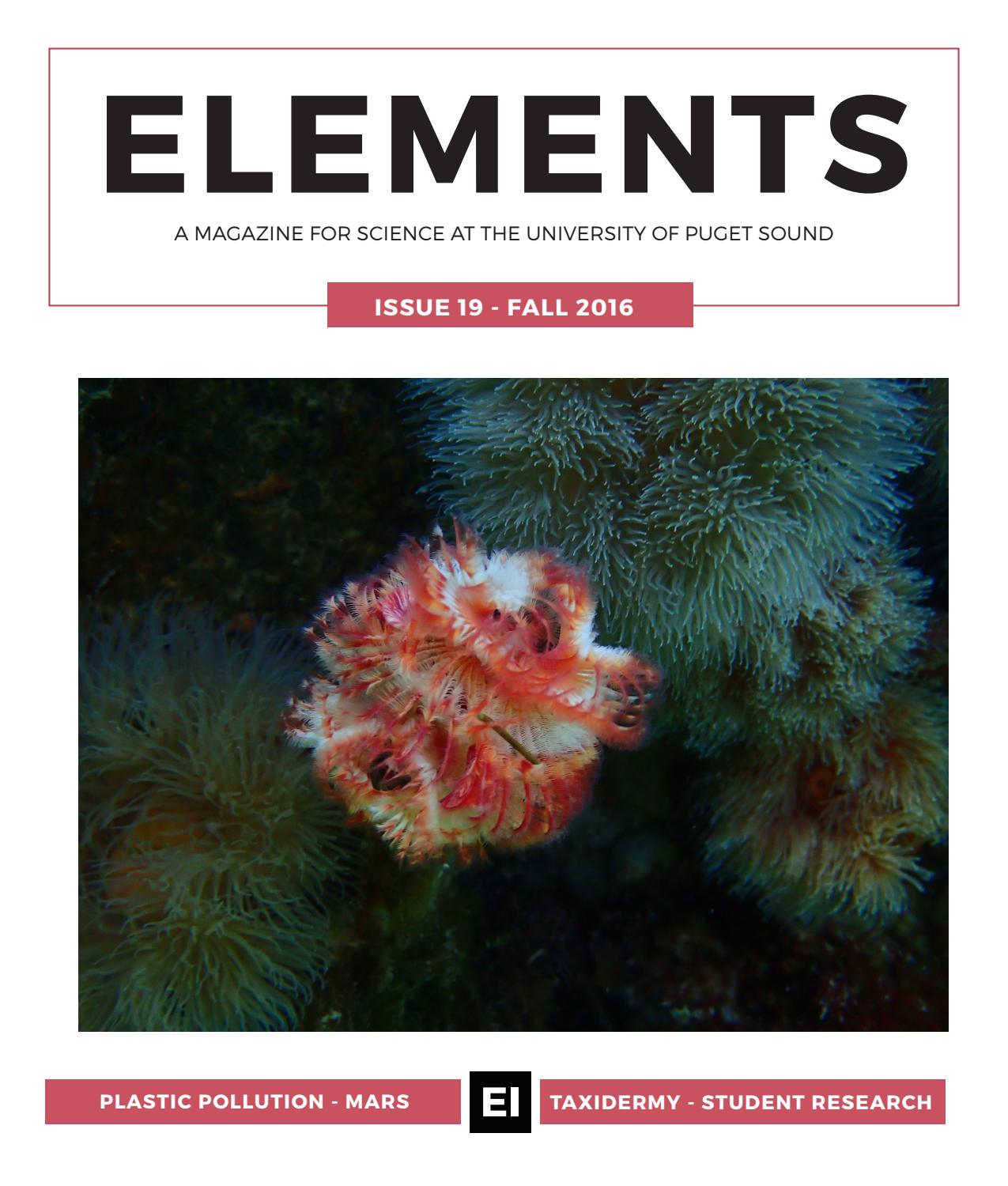 Issue 19 by Elements Magazine - Issuu