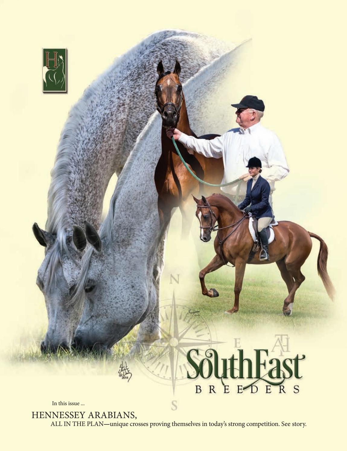 Arabians of The Southeast-2016 by Arabian Horse Times - Issuu
