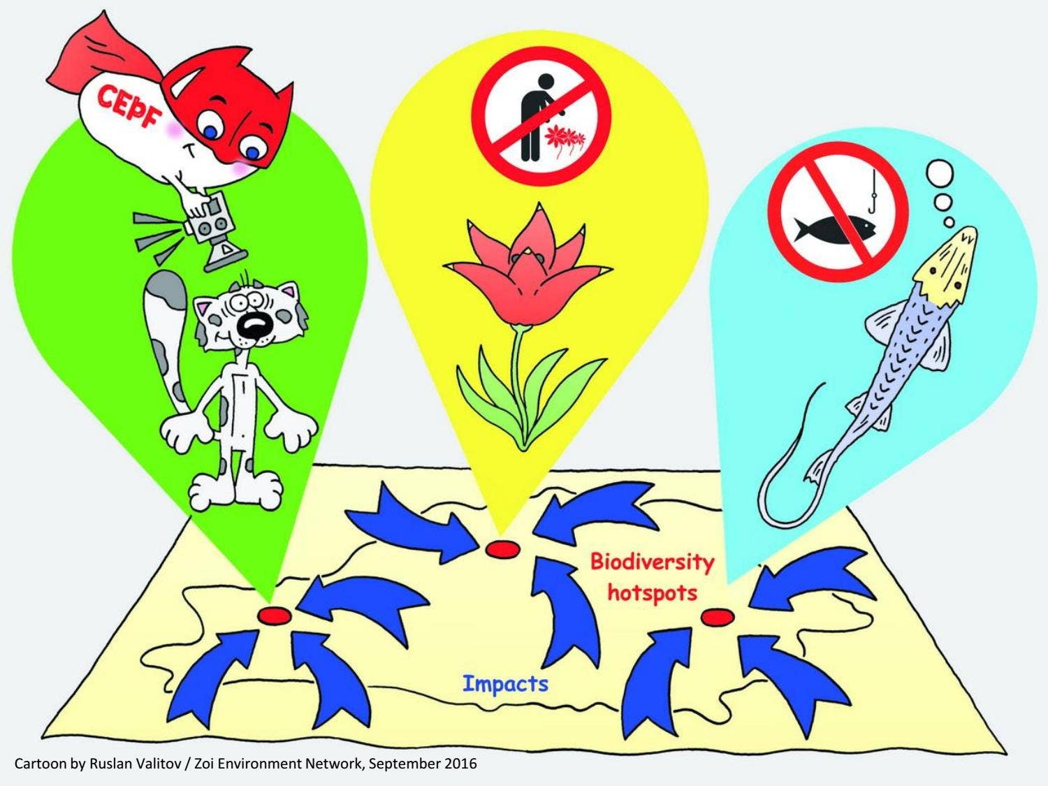 Ecosystem Profile Cartoons by Zoï Environment Network - Issuu