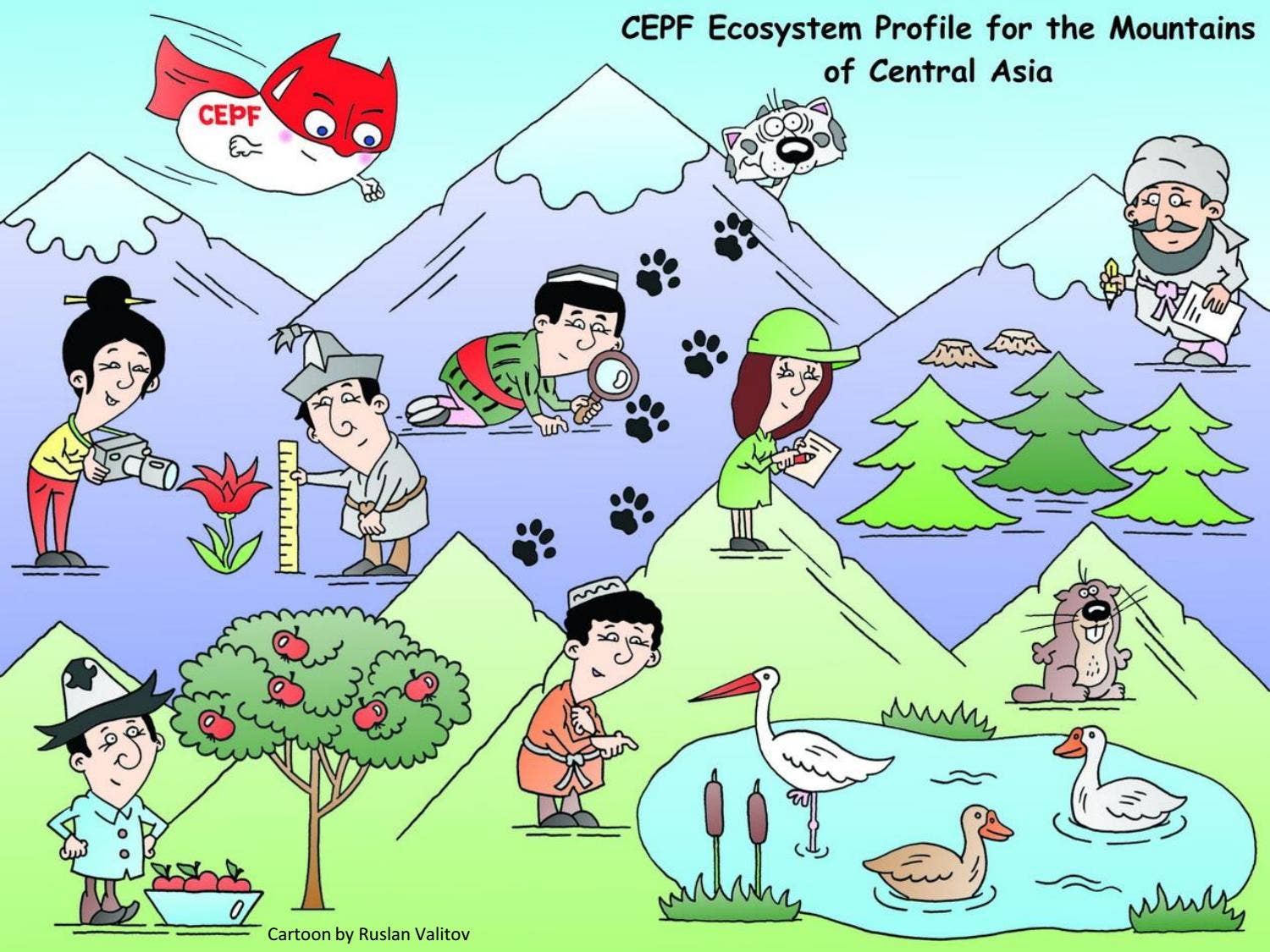 Ecosystem Profile Cartoons by Zoï Environment Network - Issuu
