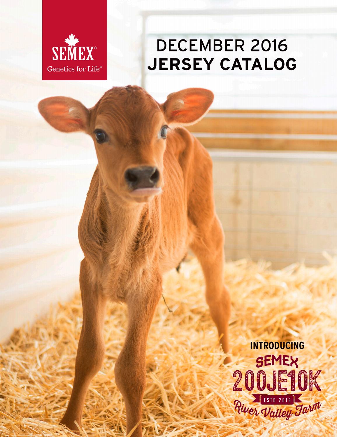 Semex - December 2016 USA Jersey Catalog by Semex - Issuu