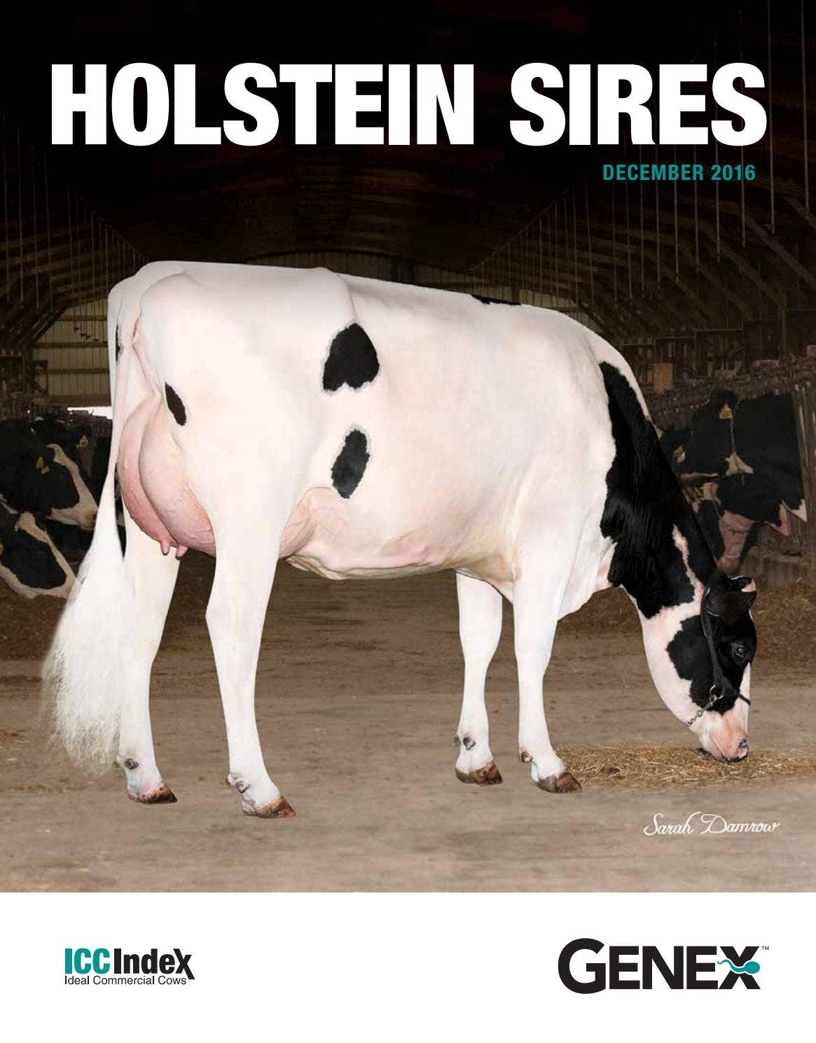 GENEX Holstein Sires by GENEX - Issuu