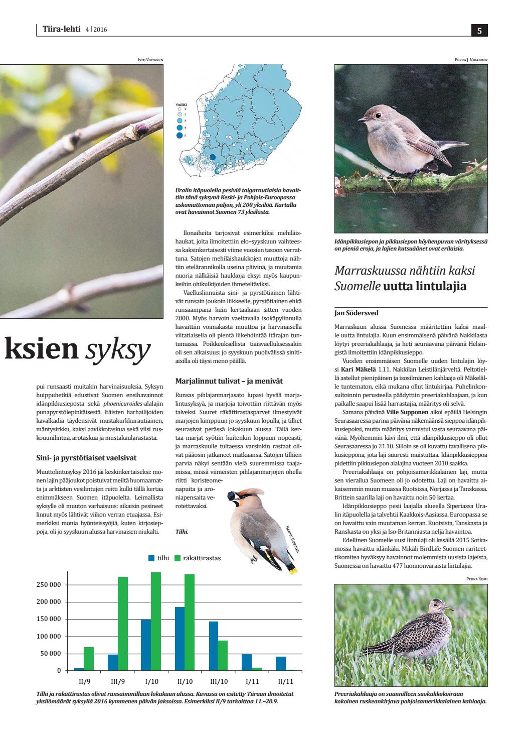 Tiira 4/2016 by BirdLife Suomi - Issuu