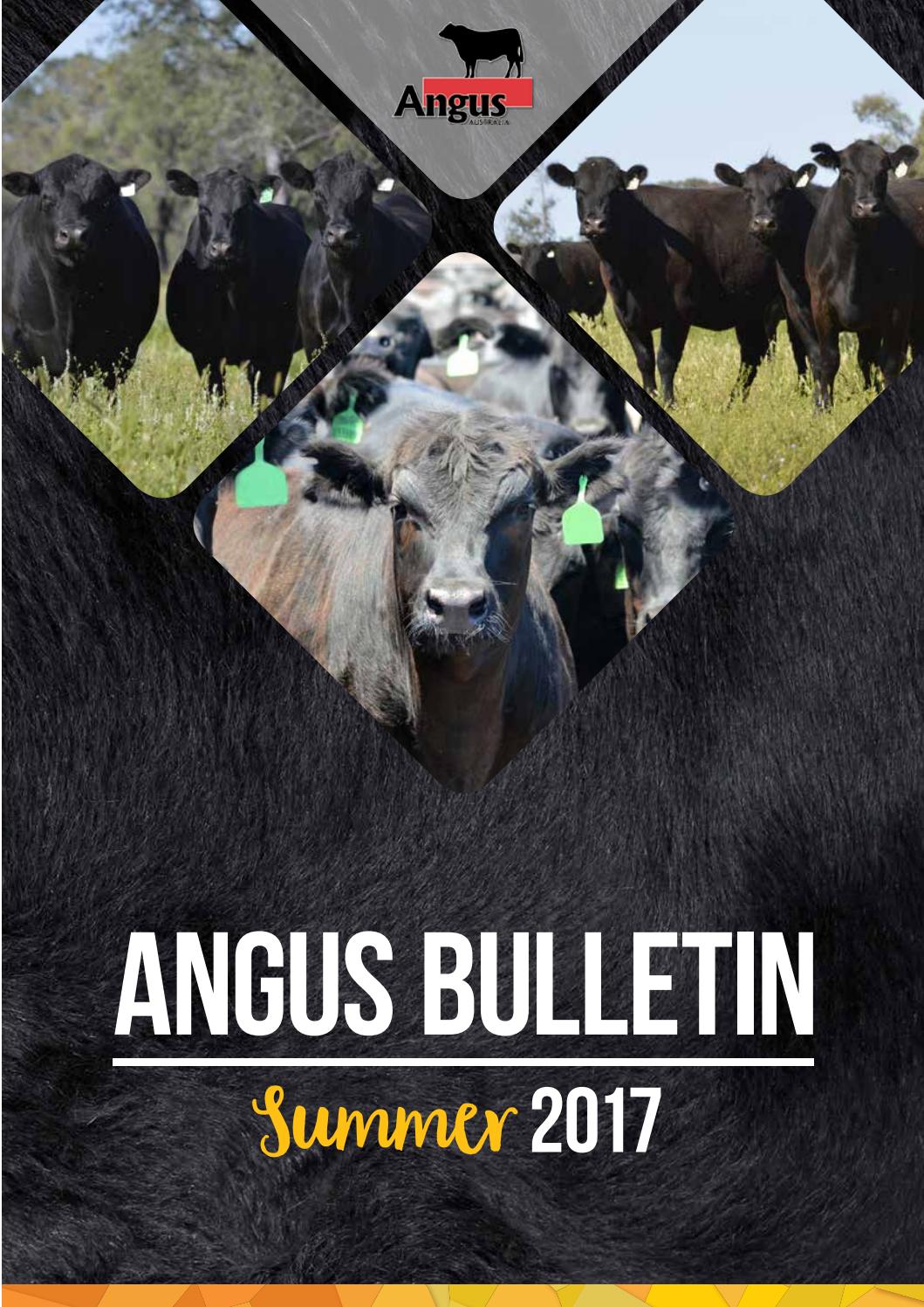 Angus Bulletin - Summer 2017 by Angus Australia - Issuu