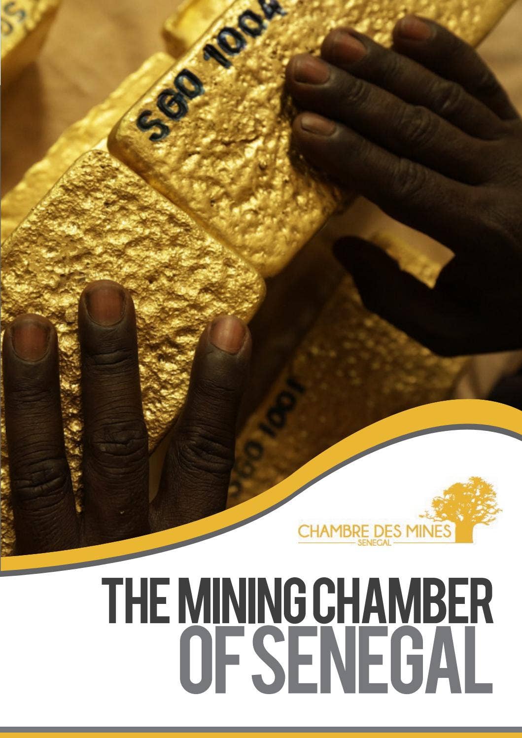 Chamber Of Mining Senegal - Brochure 2017 by Mining Global - Issuu