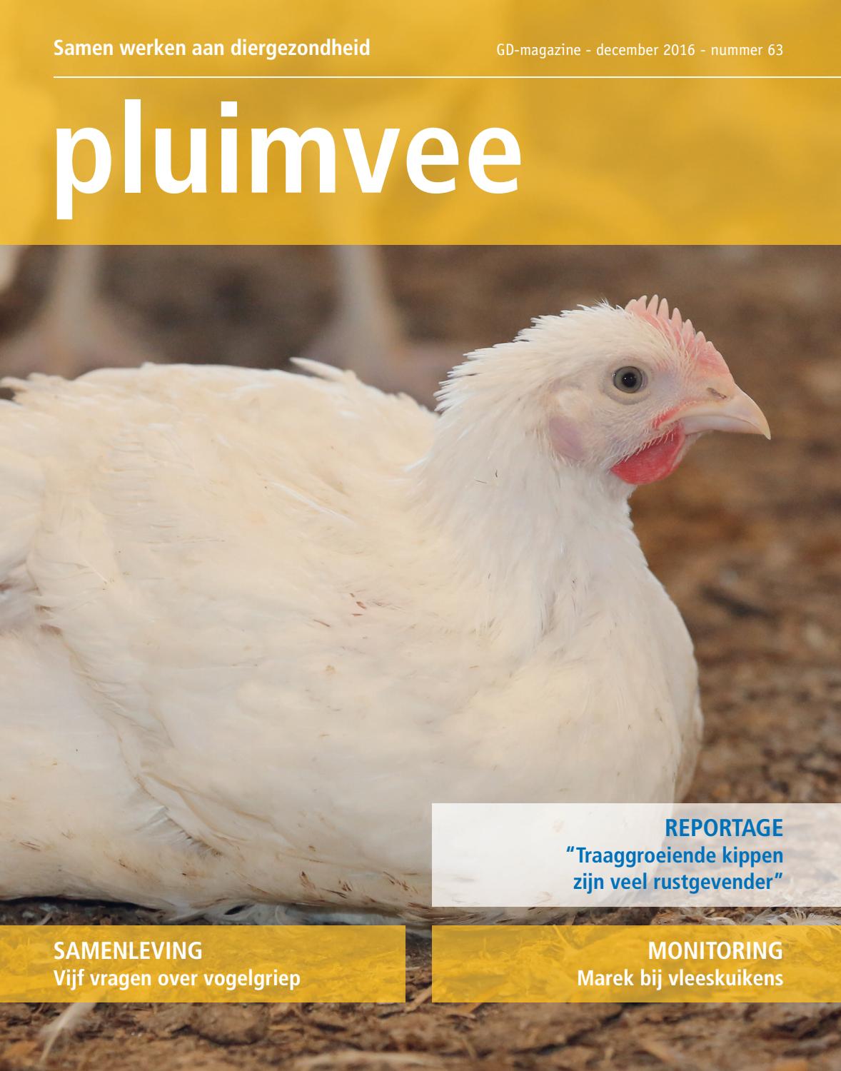 Pluimvee 63 by Royal GD - Issuu