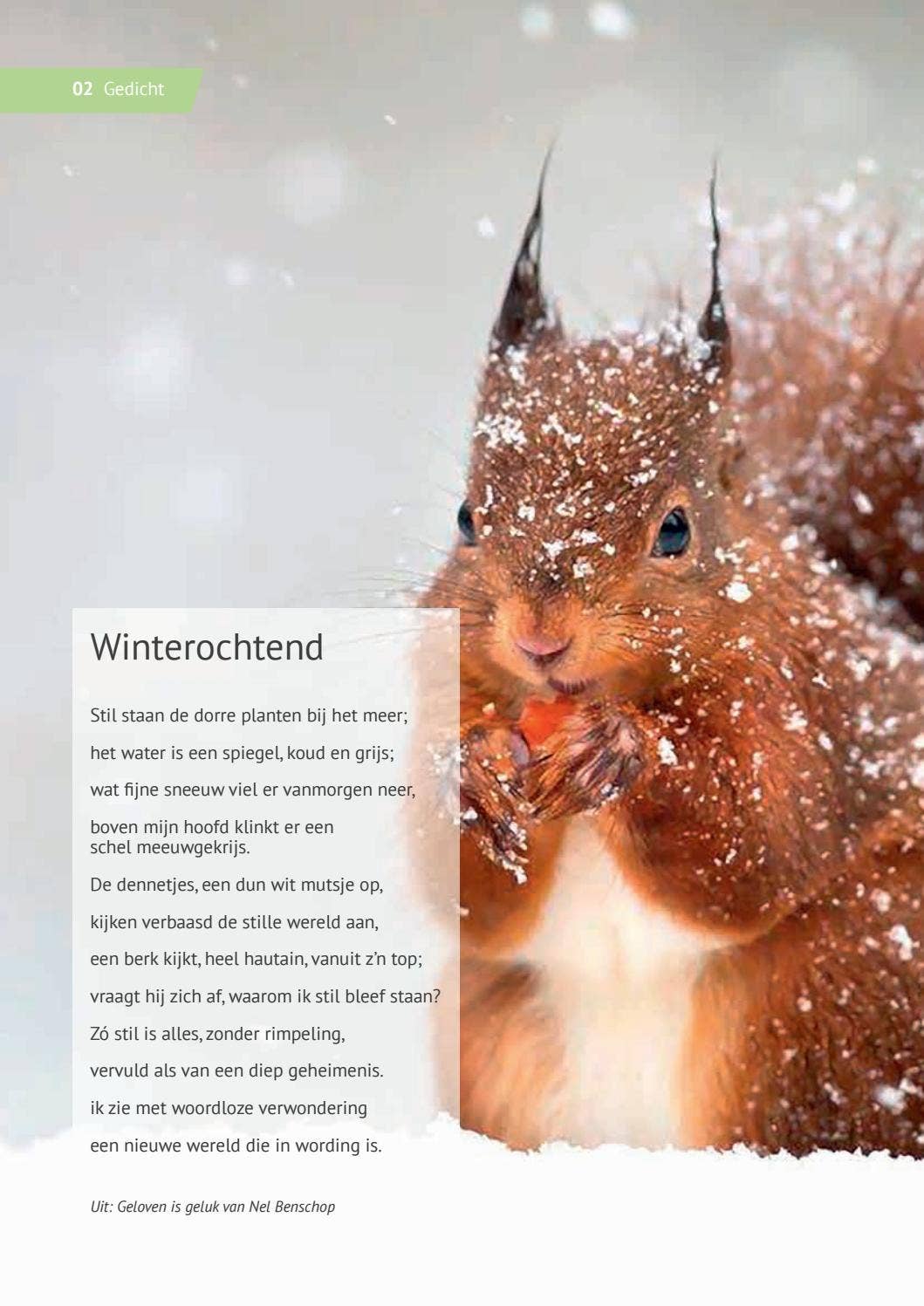 Ikazia Nieuws winter 2016 by Ikazia Ziekenhuis - Issuu