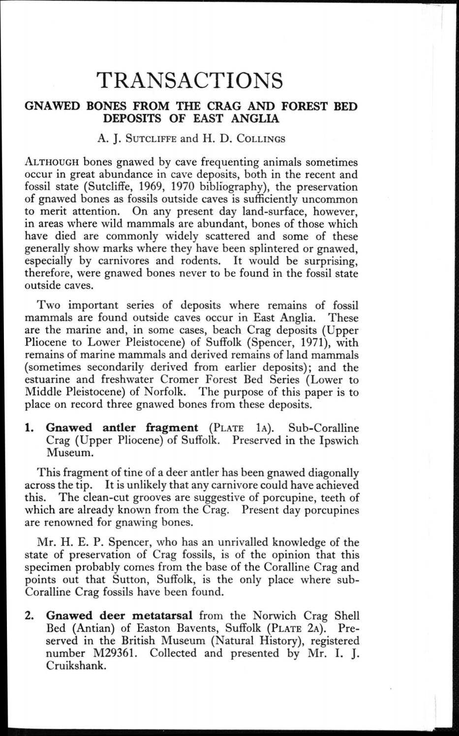 Gnawed Bones from the Crag and Forest Bed Deposits of East Anglia by ...