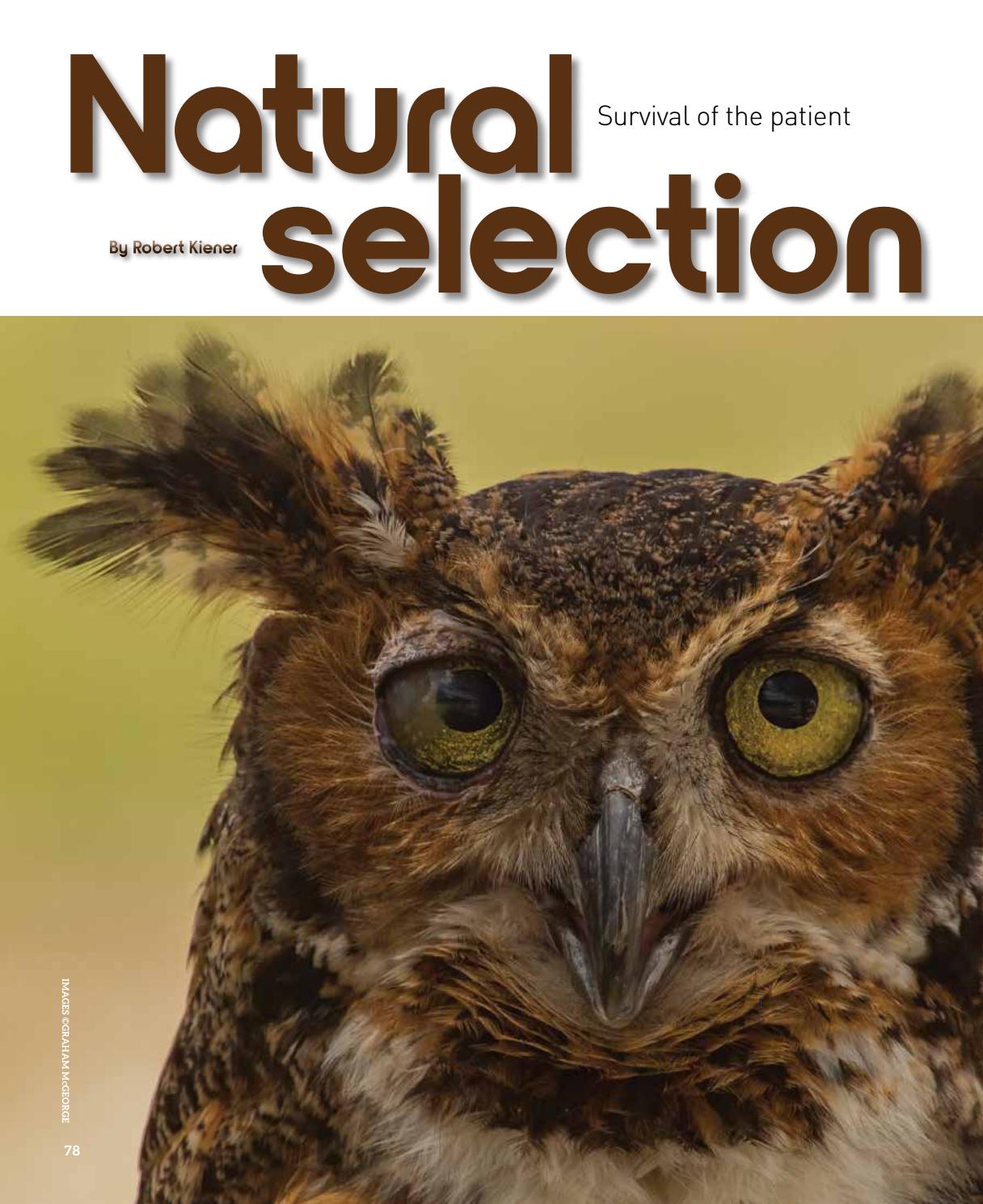 Graham McGeorge by Robert Kiener - Issuu