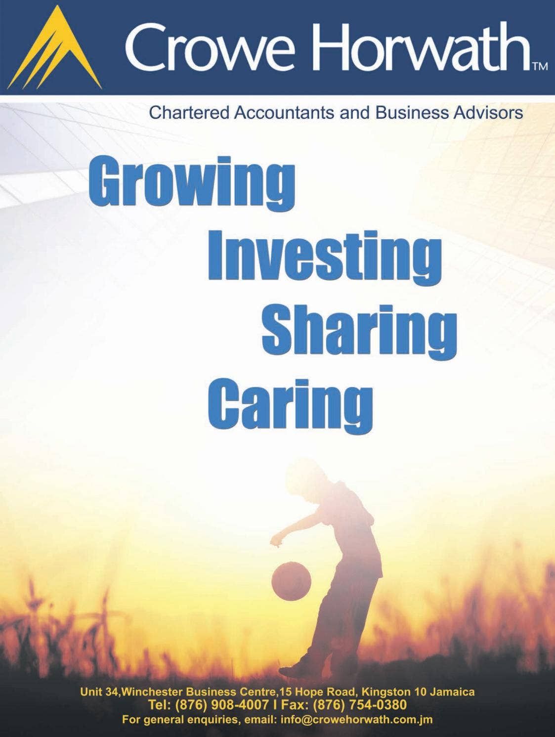 Crowe Horwath Service Profile 2017 by Dawgen Global - Issuu