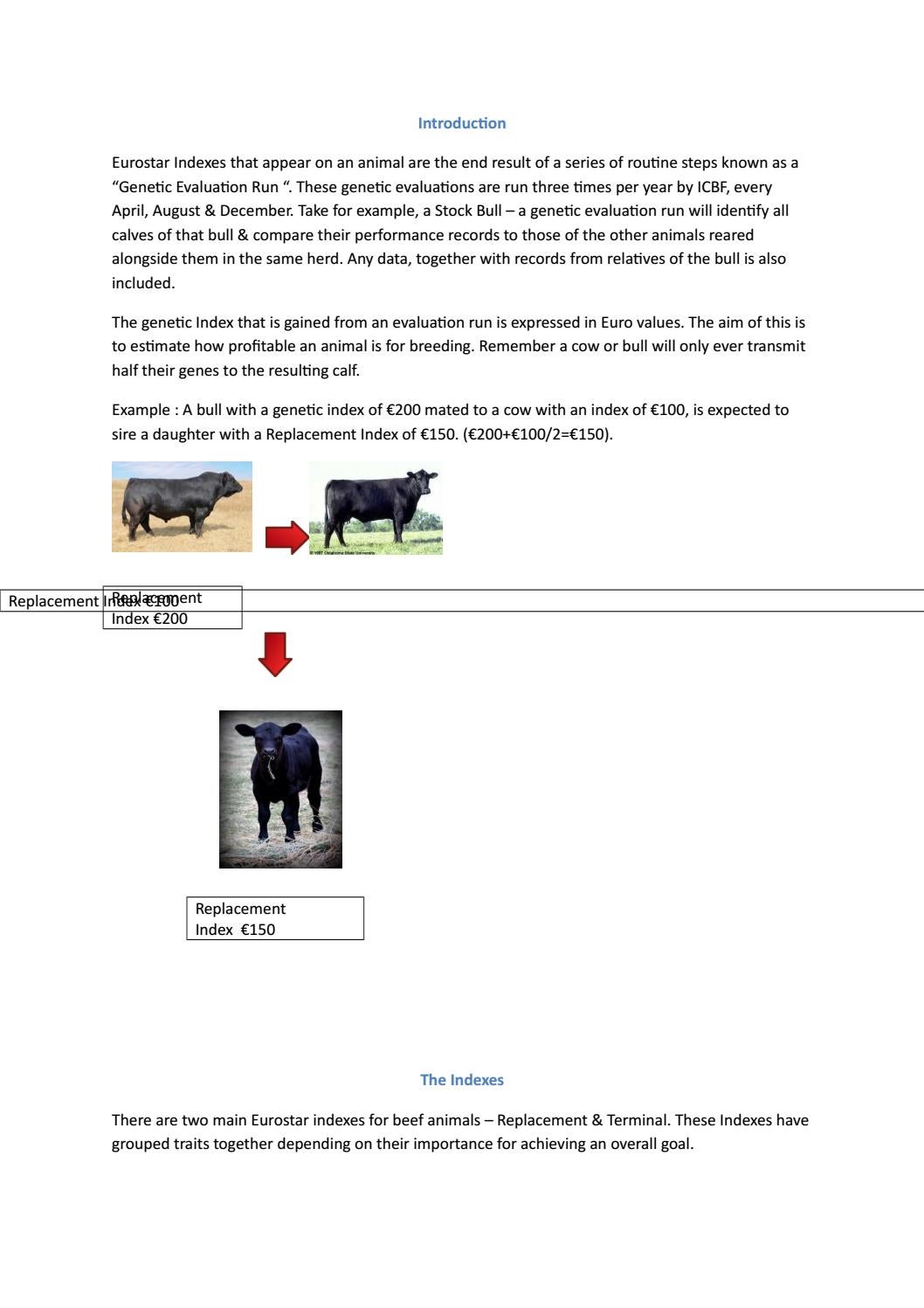 Bull search help doc 071216 by ICBF - Issuu