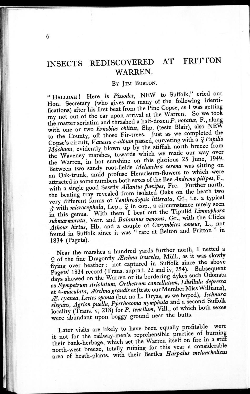 Insects Rediscovered at Fritton Warren by Suffolk Naturalists' Society ...