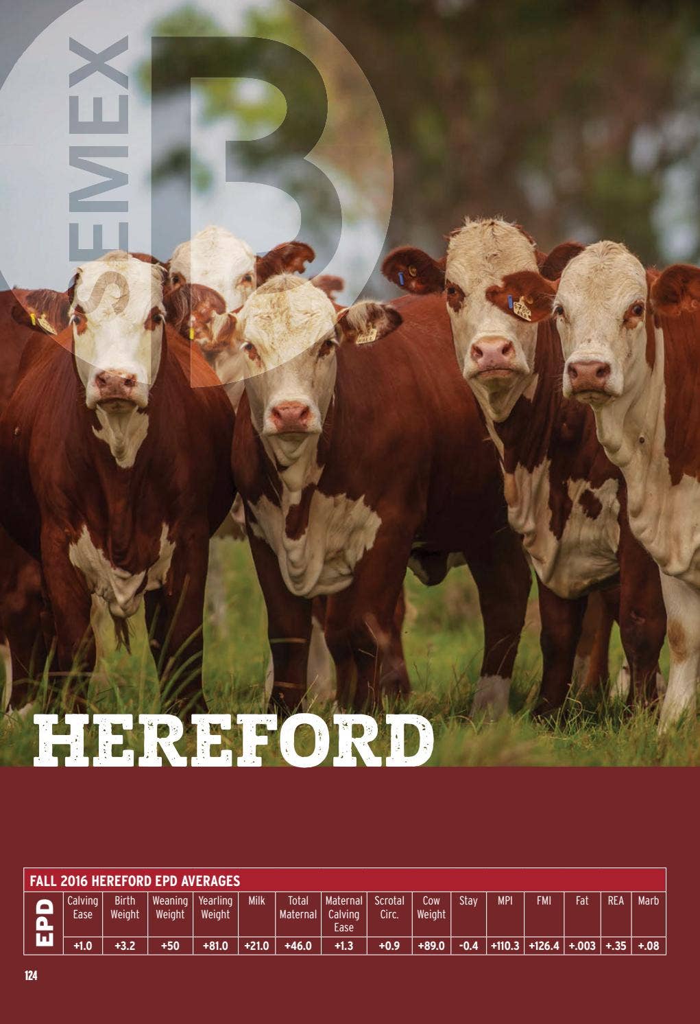 2017 International Semex Beef Catalogue by Semex - Issuu