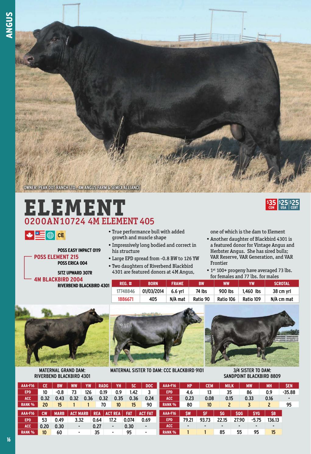 2017 International Semex Beef Catalogue by Semex - Issuu