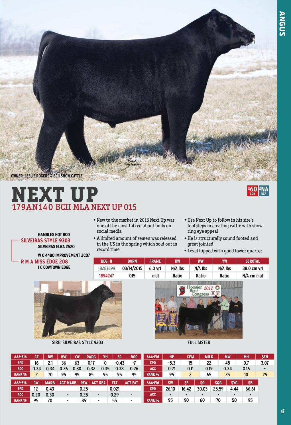 2017 International Semex Beef Catalogue by Semex - Issuu