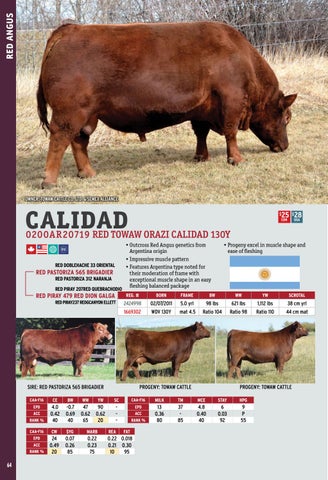 2017 International Semex Beef Catalogue by Semex - Issuu