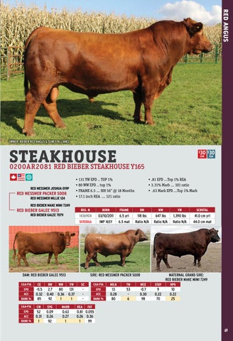 2017 International Semex Beef Catalogue by Semex - Issuu