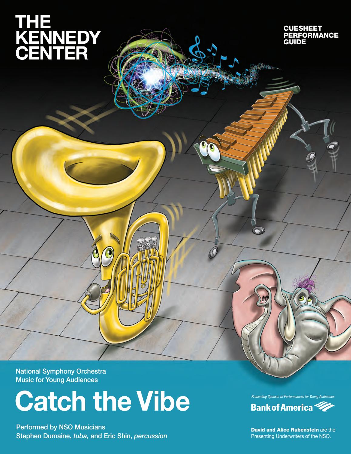 Catch The Vibe: National Symphony Orchestra Music for Young Audiences ...