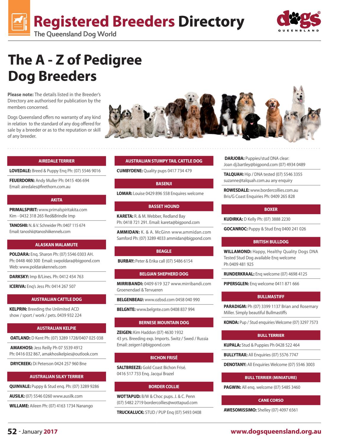 Dogs Queensland - The Queensland Dog World - Issue 1 - January - 2017 ...